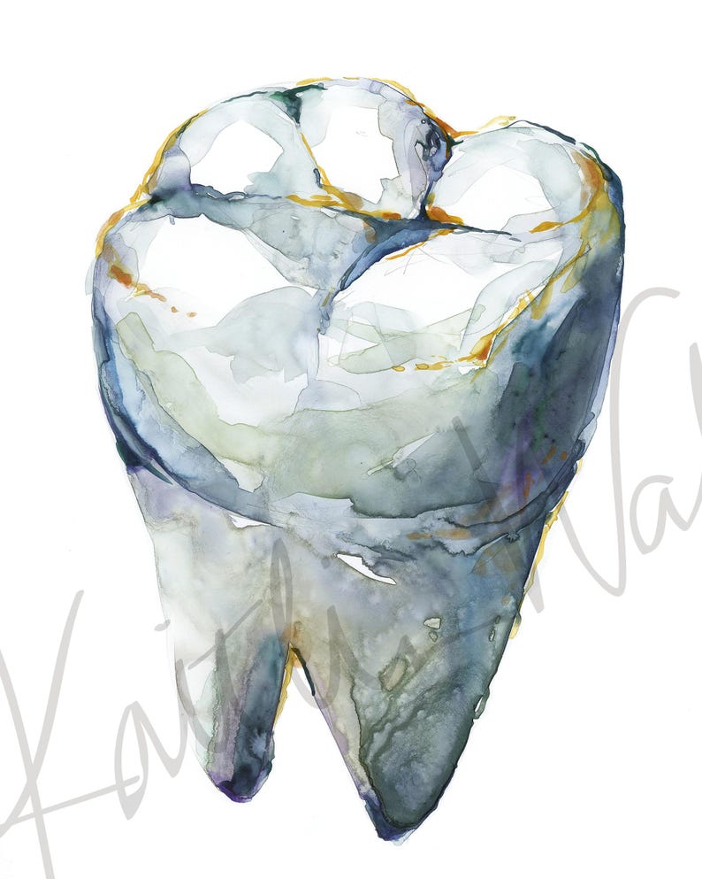 View of Occlusal Molar Watercolor Print - Abstract Dental Anatomy Art ...