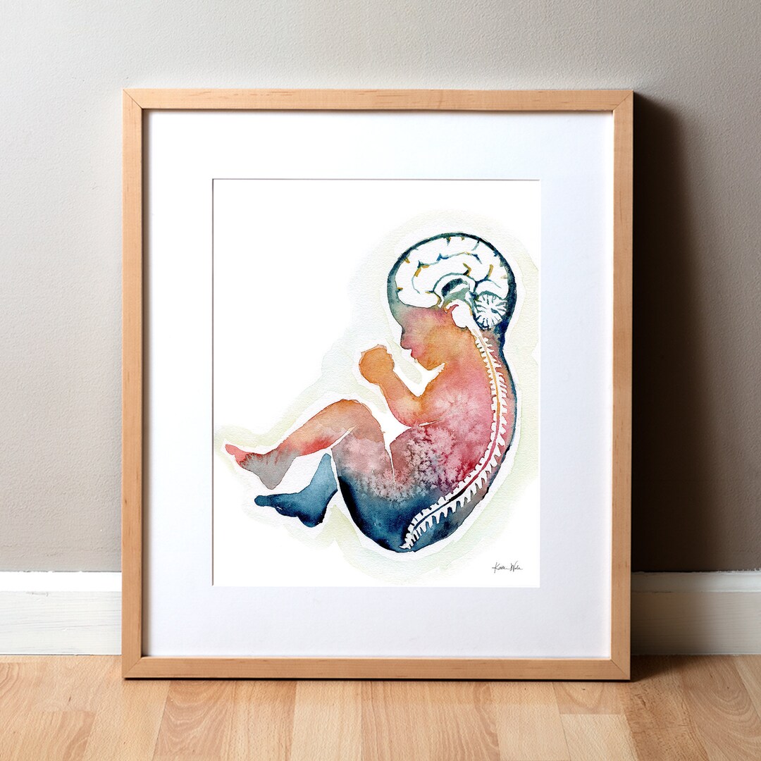 Fetal Silhouette Watercolor Print - OBGYN Art - Baby Art - Gift for ...