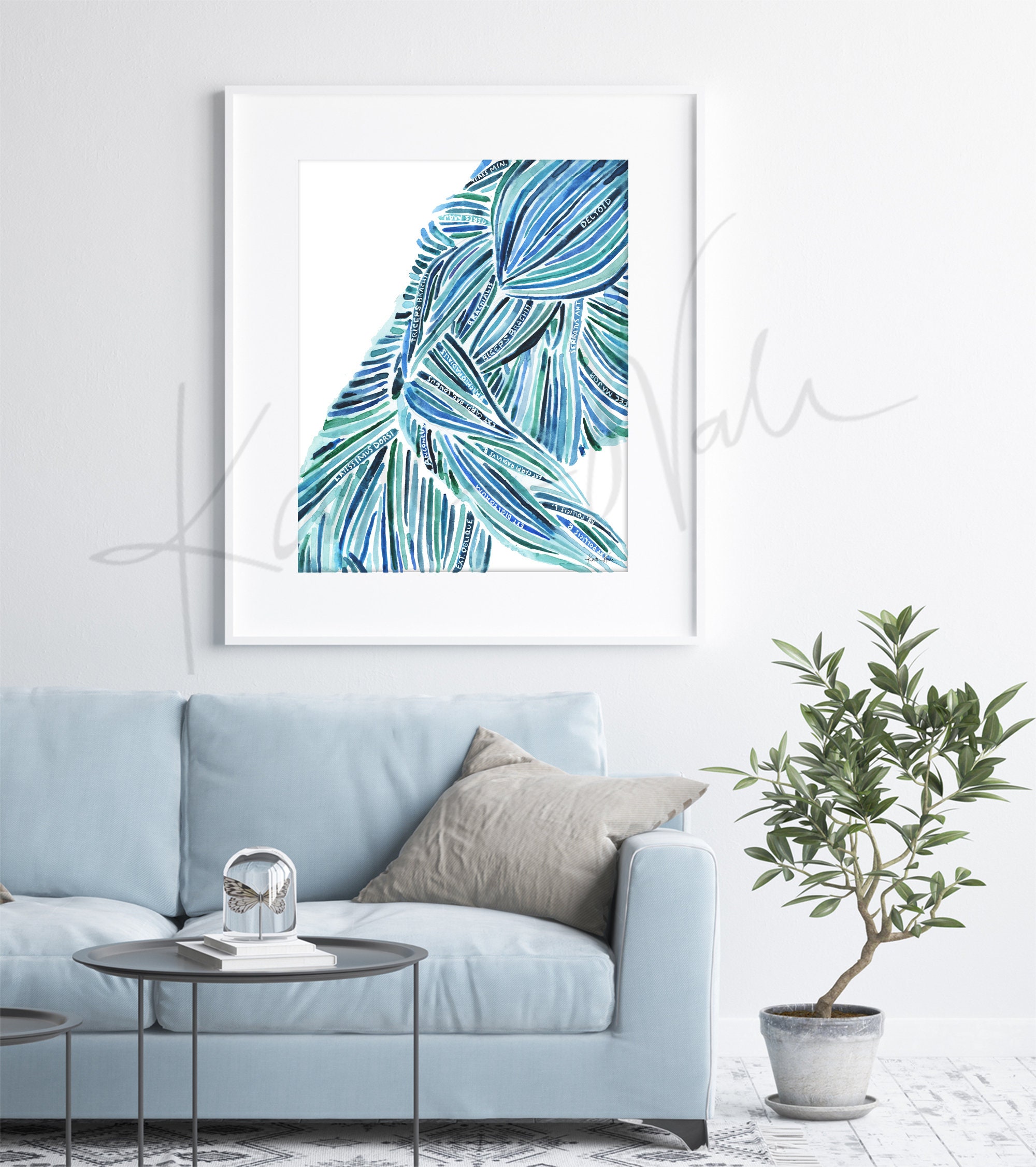 Muscle Anatomy Watercolor Print - Muscle Painting - Labeled Muscle ...