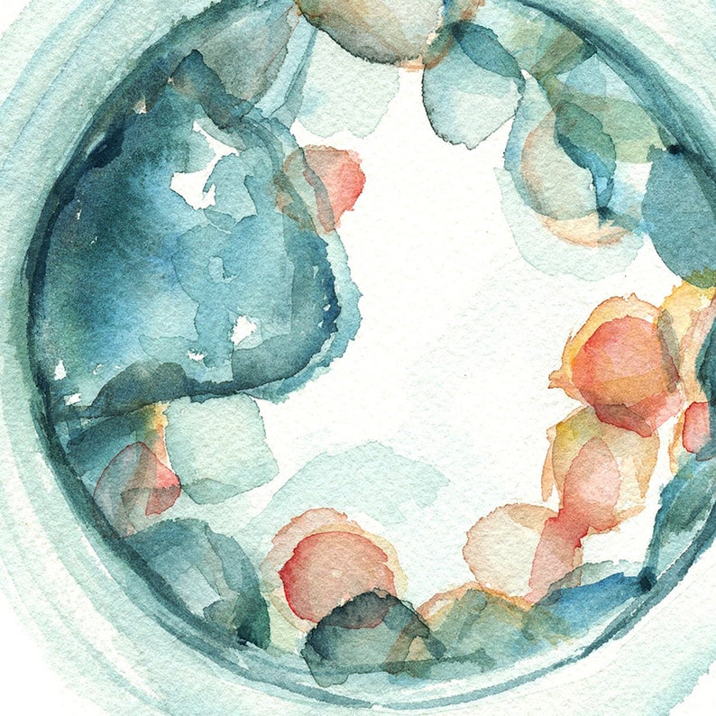 5-day Embryo Art Print Embryology Watercolor Print | Etsy