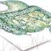 Gut Microbiome Watercolor Print - Gut Health - Gastrointestinal Art ...