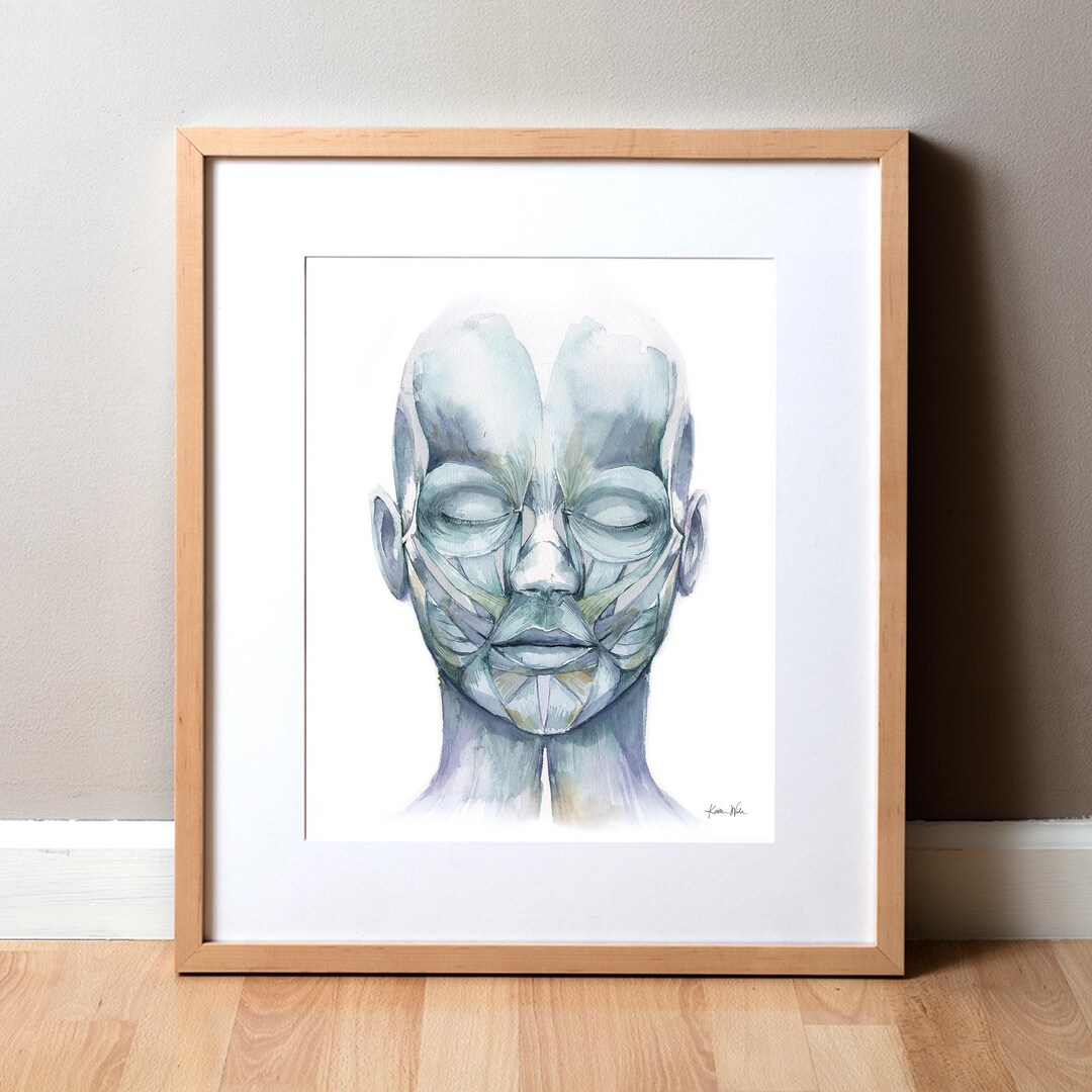 Muscles of Facial Expression Watercolor Print - Muscular Painting ...