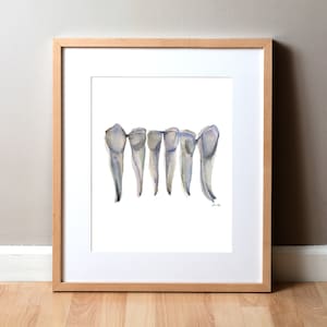 Abstract Incisor Teeth Watercolor Print, Dental and Dentistry Art ...