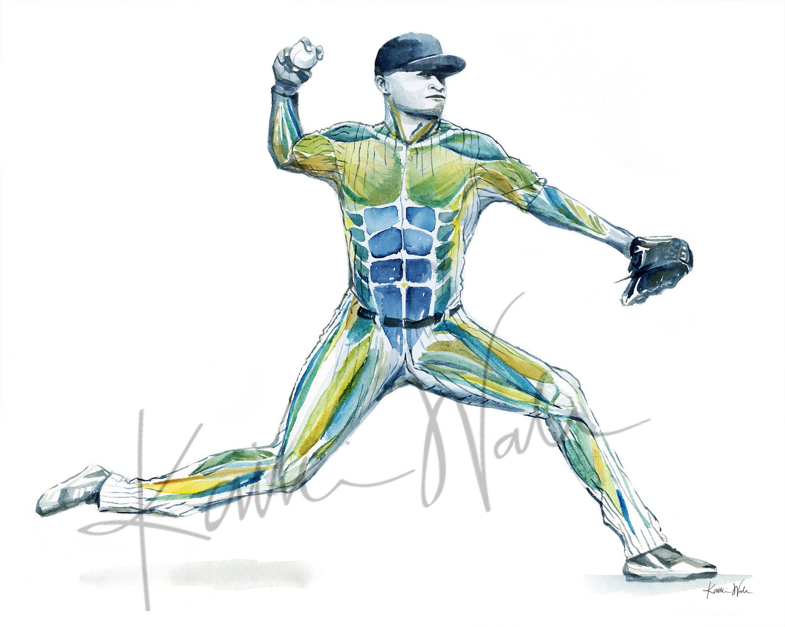 Baseball Anatomy Watercolor Print - Baseball Artwork - Pitcher Art ...