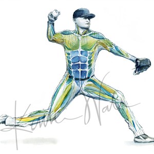Baseball Anatomy Watercolor Print - Baseball Artwork - Pitcher Art ...