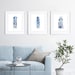 Blue Spine Print Series of 3 Anatomy Art Set 3 Watercolor Prints - Etsy