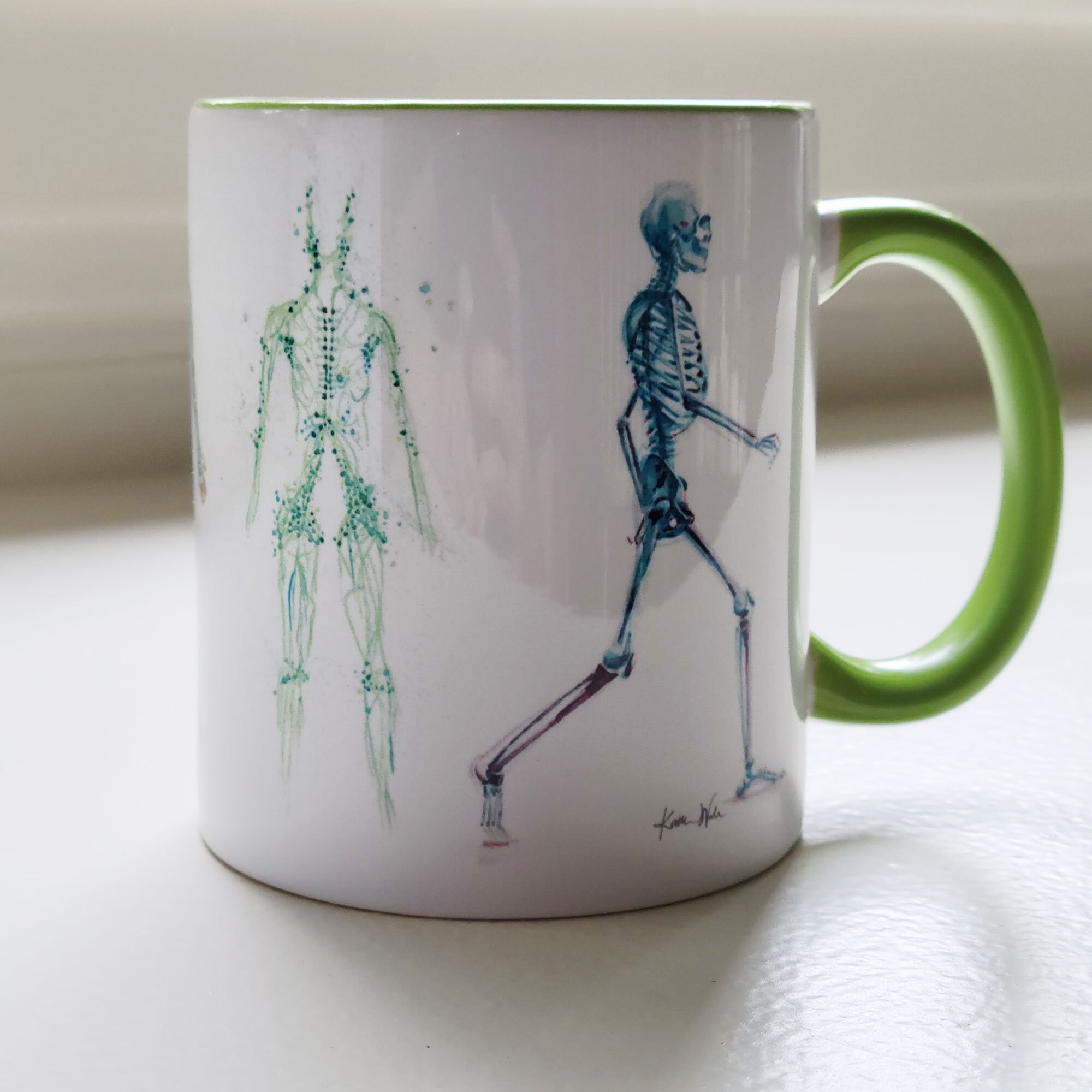 Body Systems in Color Anatomy Mug - Nervous System, Lymphatic System ...