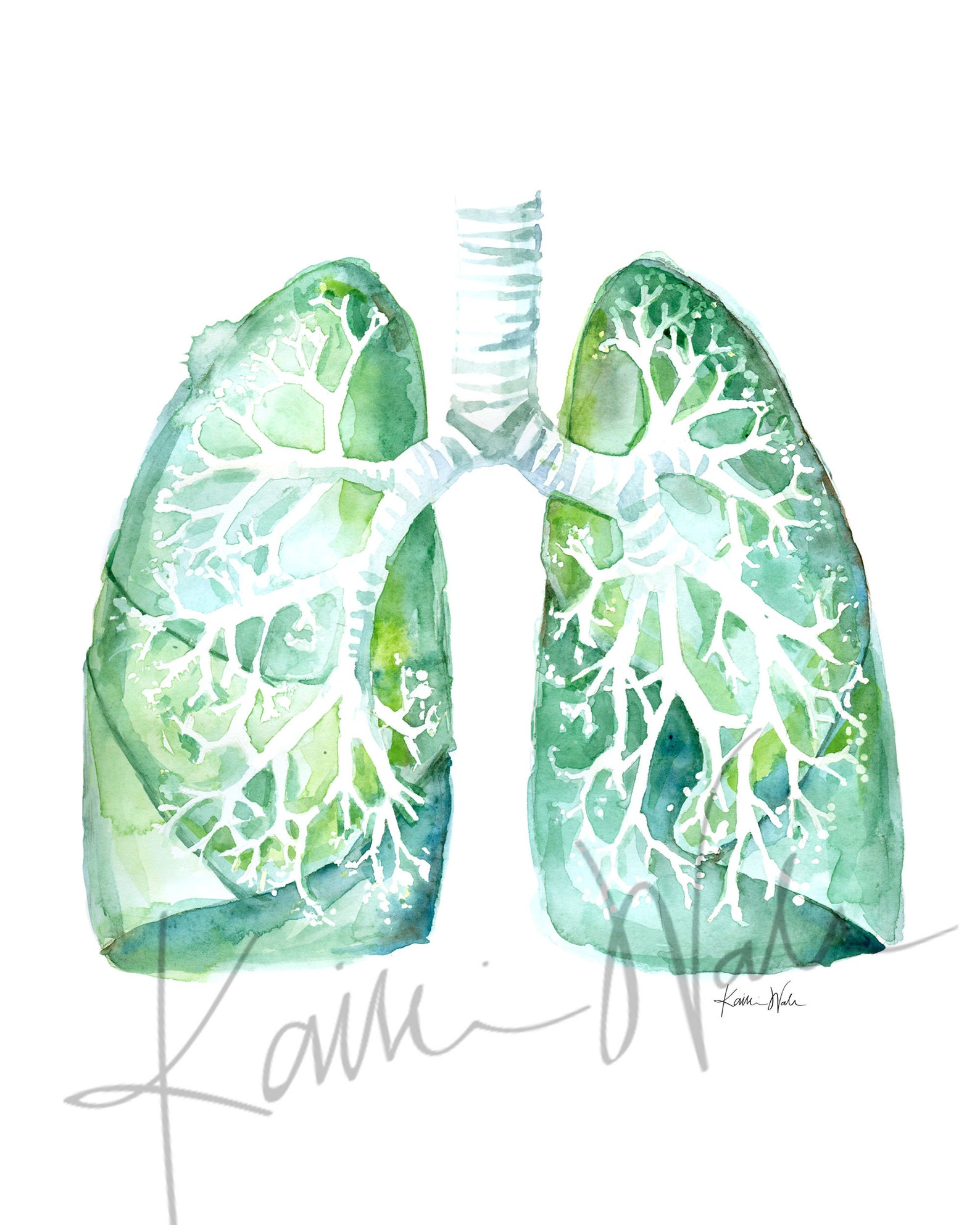 Lung Disease Prevention Painting - Pulmonary Art - Lung Watercolor ...
