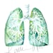 Lung Disease Prevention Painting - Pulmonary Art - Lung Watercolor ...