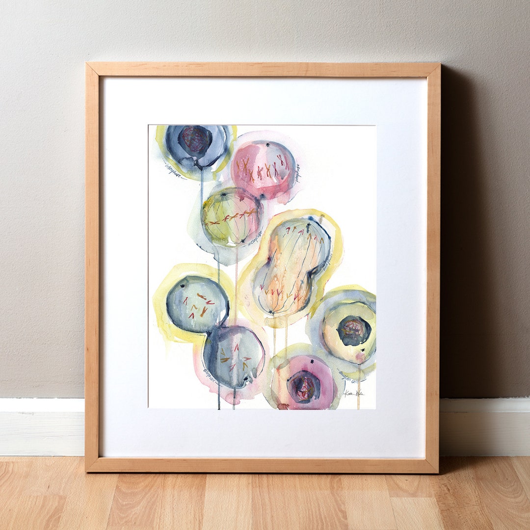Mitosis Watercolor Print - Histology Art Print - Cell Division Painting ...