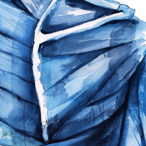 Muscles of the Back in Navy Watercolor Print - Muscle Painting - Gift ...
