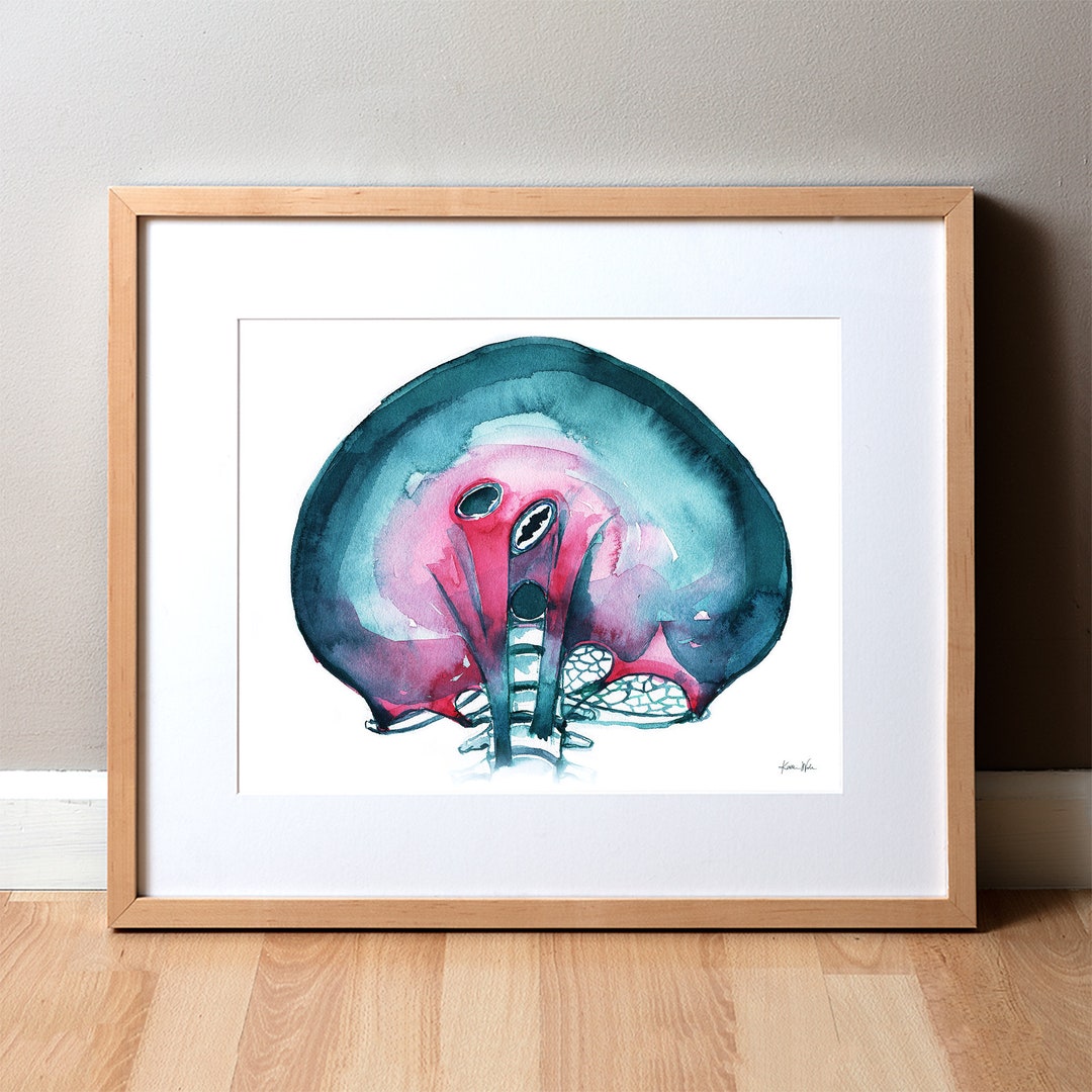 Diaphragm Watercolor Print - Respiratory System - Body Systems ...