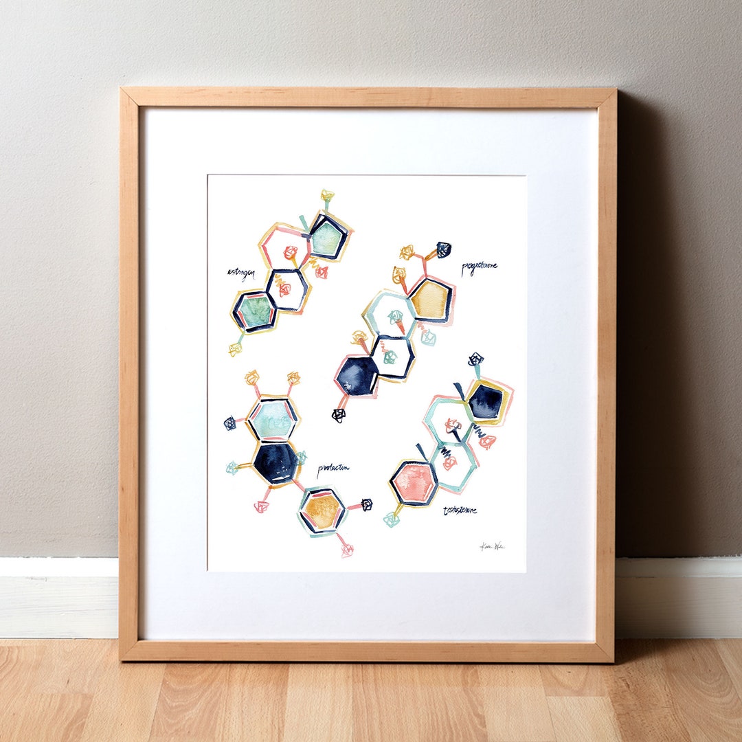 Reproductive Hormones Watercolor Poster - Hormone Art - Fertility Art ...