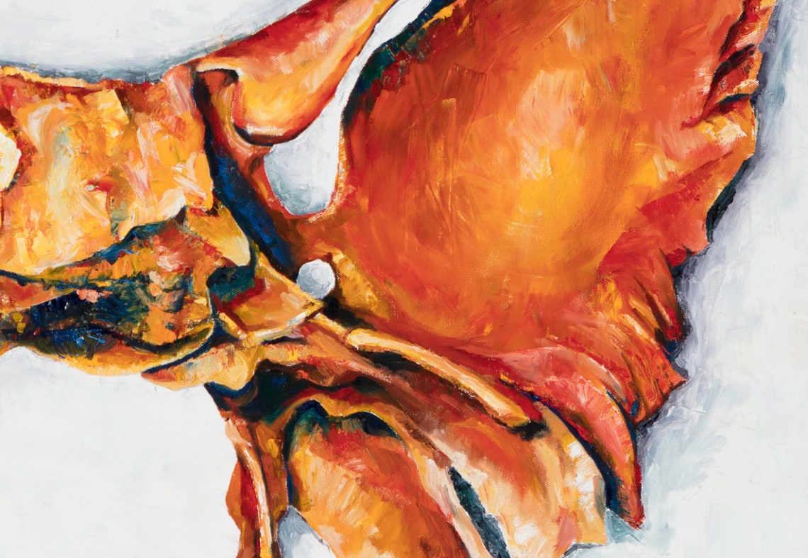 Sphenoid Canvas Print - Abstract Bone Anatomy - Oil on Canvas Art Print ...