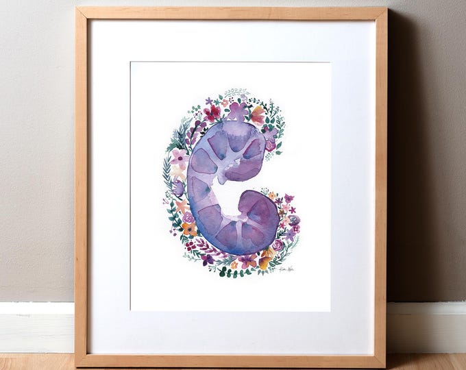 Floral Kidney Transplant Print - Anatomical Art - Human Body - Medical ...