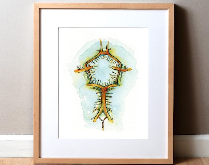 Circle of Willis, Brain Aneurysm, Neurosurgery Art, Brain Anatomy ...