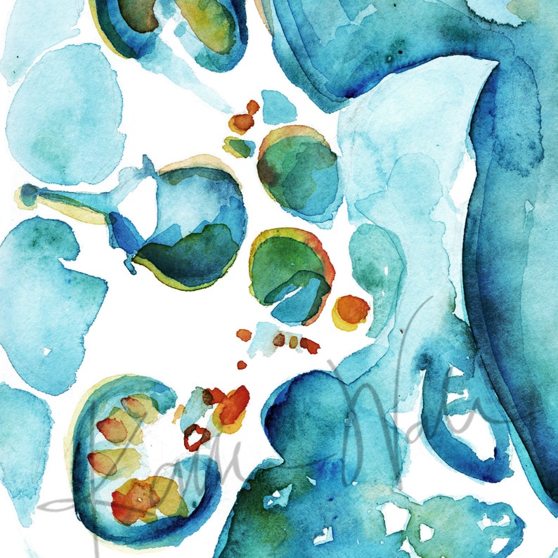 Blue Abdomen Cross Section Watercolor Print - Anatomy Art - Medical Art ...