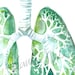 Lung Disease Prevention Painting - Pulmonary Art - Lung Watercolor ...