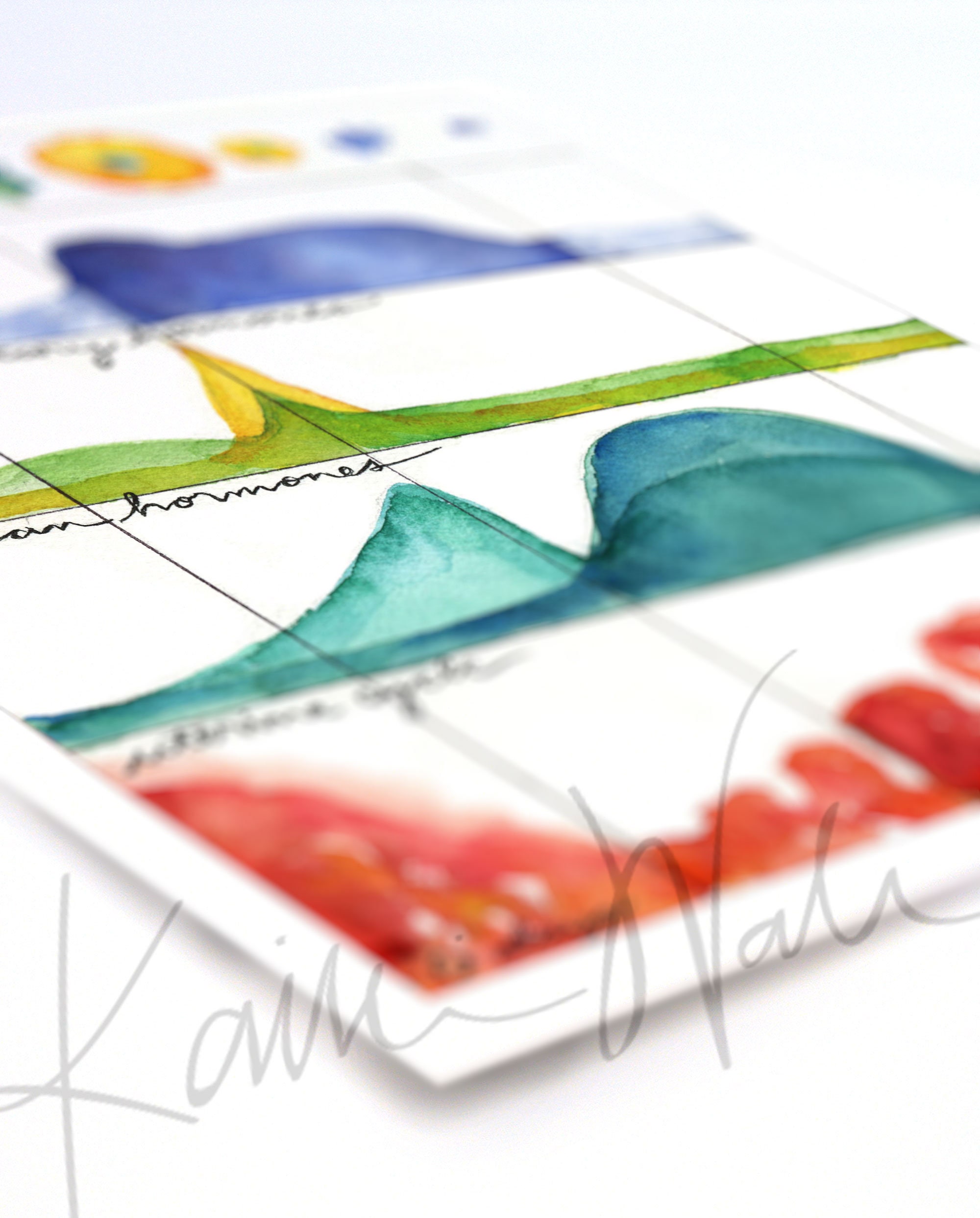 Menses Cycle Watercolor Art Print - Menstrual Chart - Menstrual Cycle ...