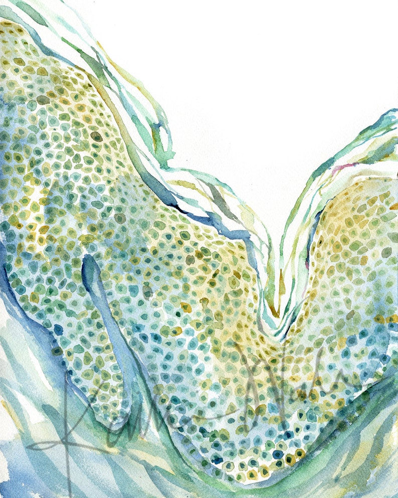 Skin Histology Watercolor Print Set Skin Art Dermatology - Etsy