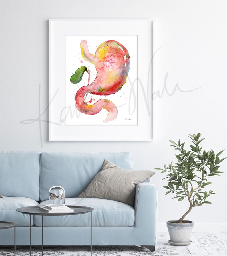 Stomach, Duodenum & Gallbladder Watercolor Print - Gastrointestinal Art ...