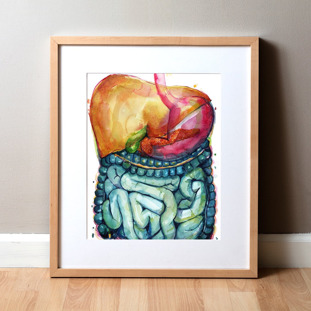 GI System Watercolor Print - Surgery Art - Gift for Surgeon ...
