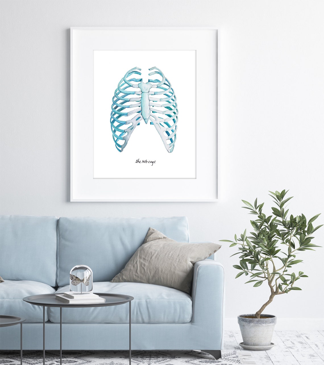 Rib Cage Watercolor Print Anatomy Watercolor Art Print Rib | Etsy