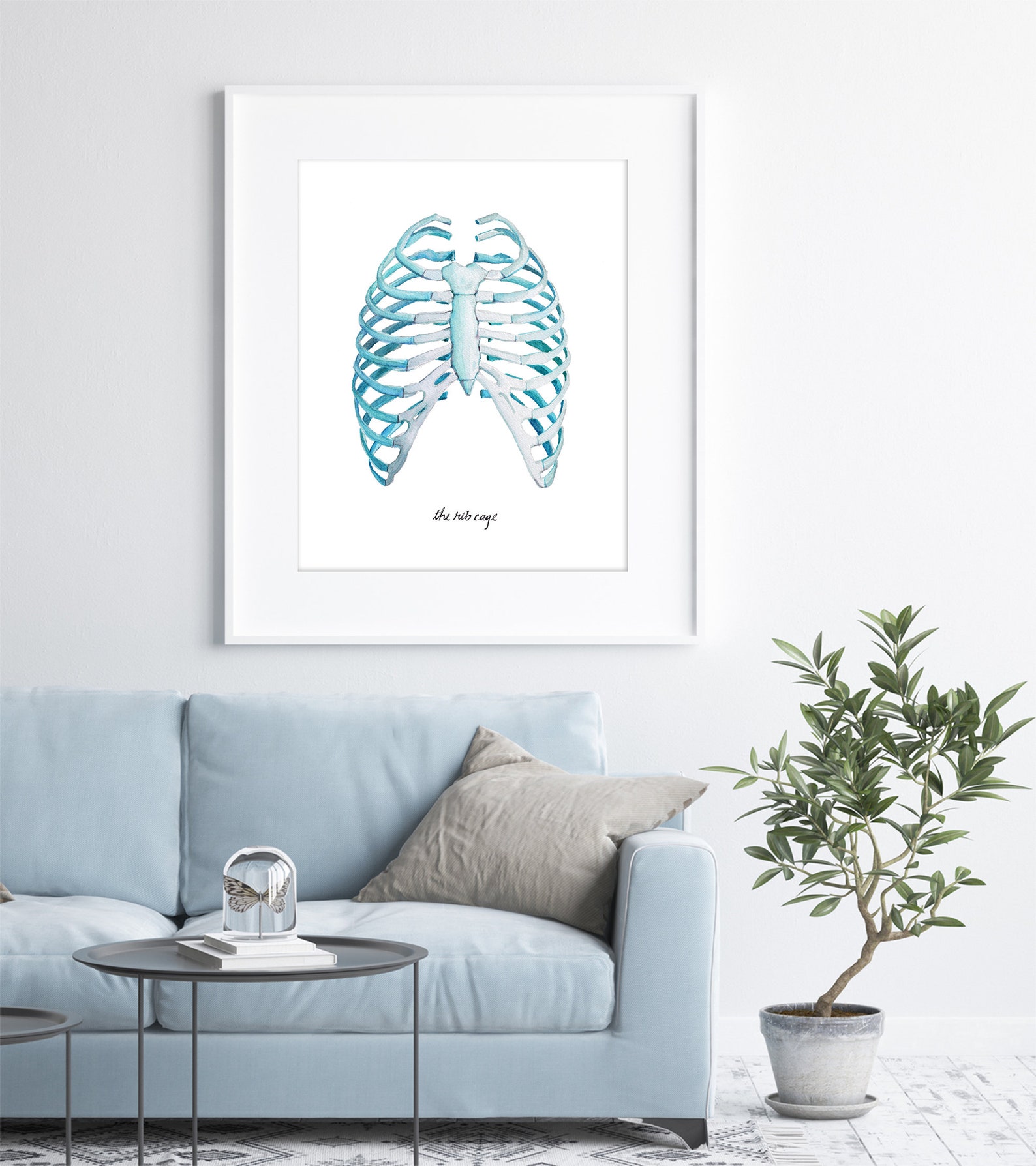 Rib Cage Watercolor Print - Anatomy Watercolor Art Print - Rib Art ...