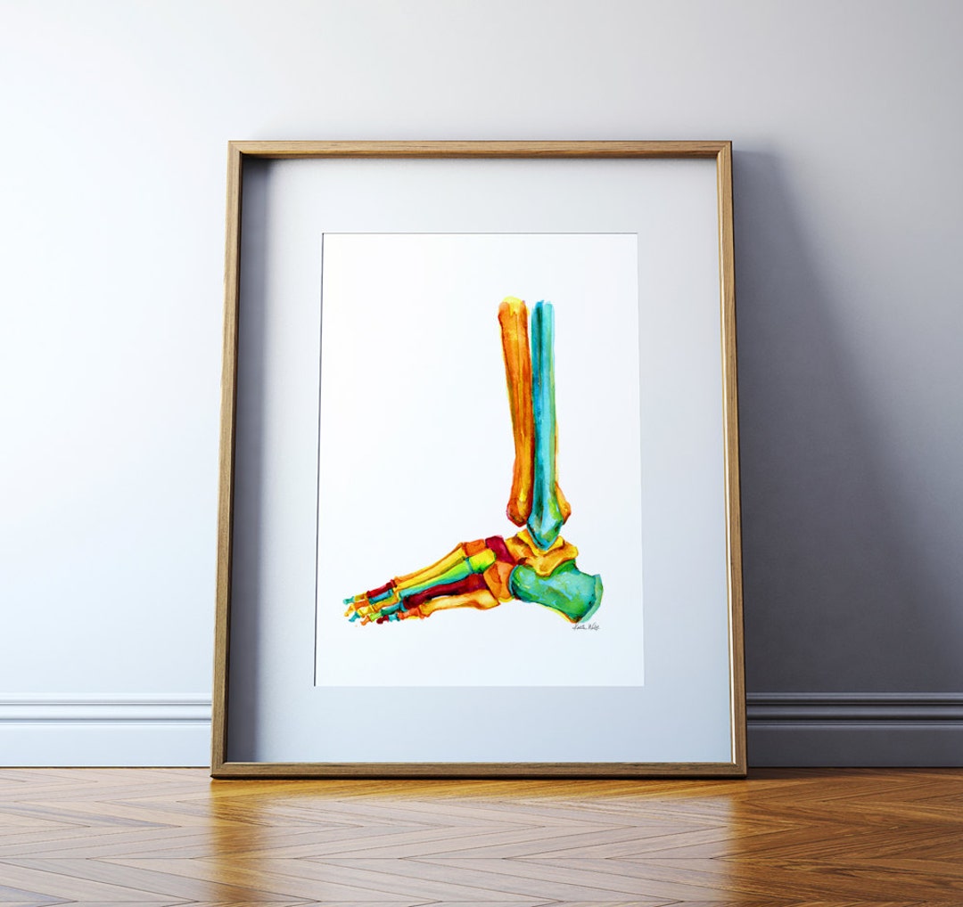 Foot and Ankle Bones Watercolor Print - Podiatry Print - Anatomy Art - Etsy