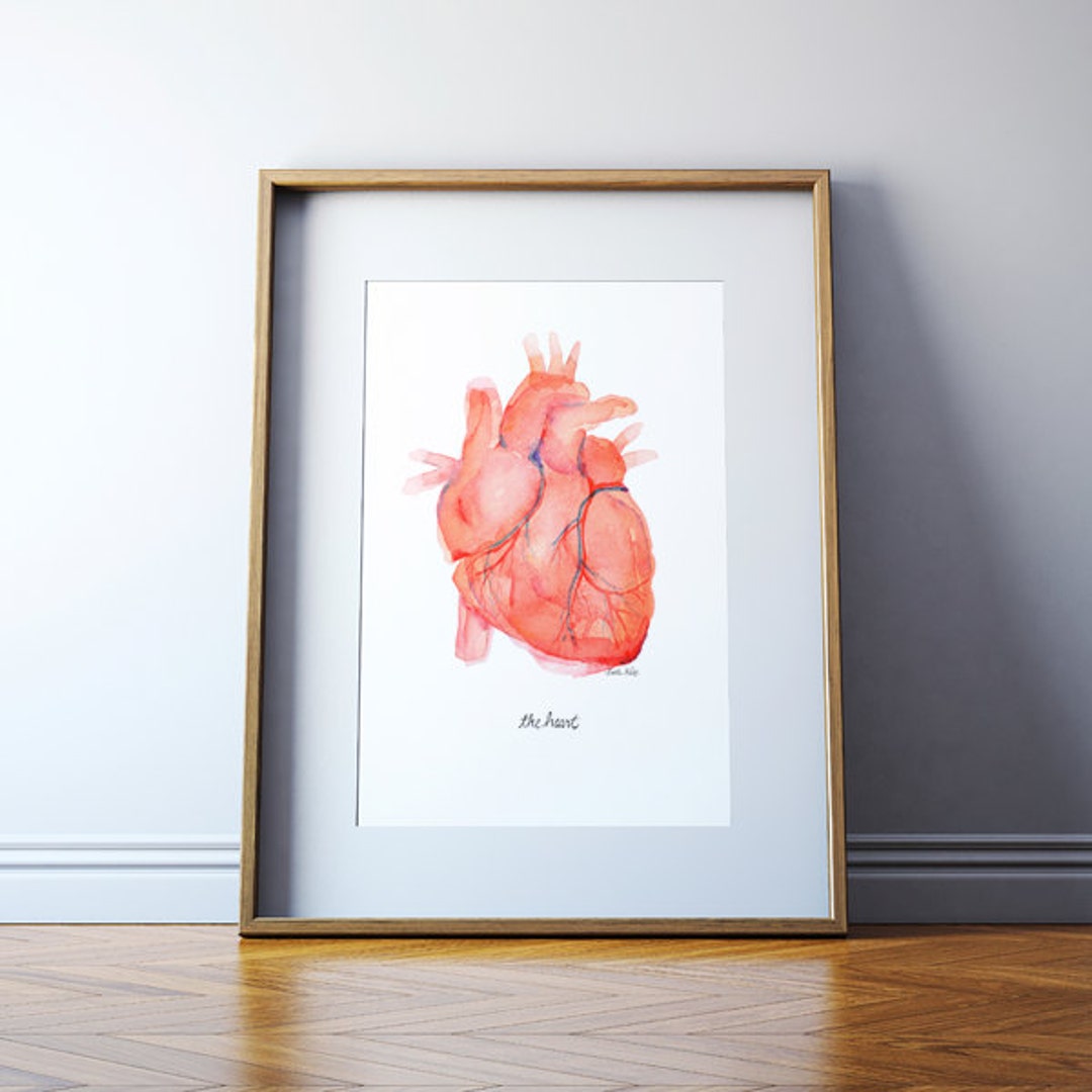 Anatomical Heart Human Heart Print Anatomically Accurate - Etsy