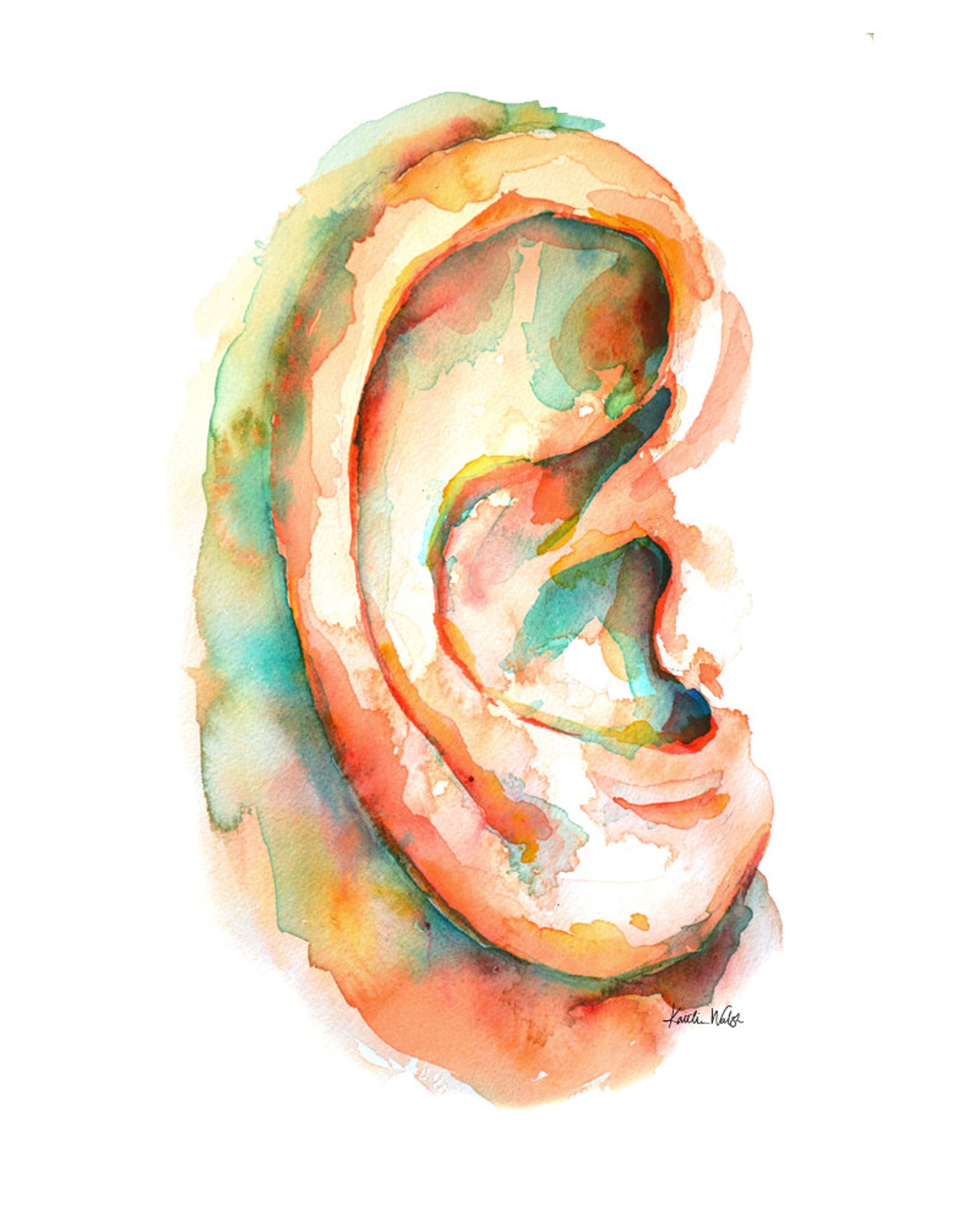 Ear Watercolor Print - Audiology, ENT and Speech Path Art - Anatomy Art ...