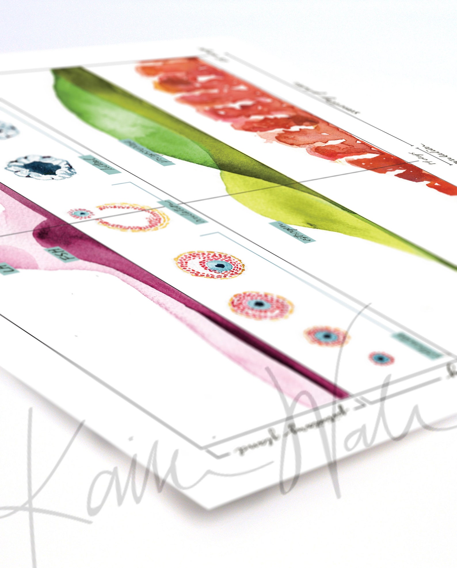 Menses Cycle II Watercolor Art Print - Menstrual Chart - OBGYN Art ...