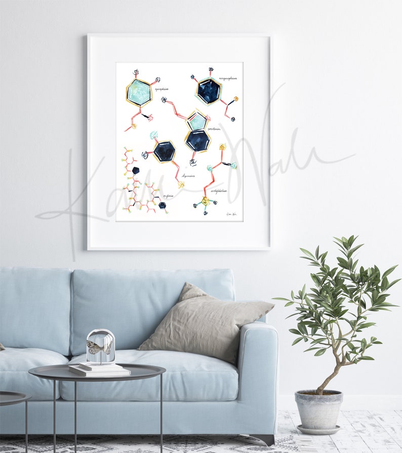 Happy Hormones Watercolor Poster Neurology Art Gift for - Etsy