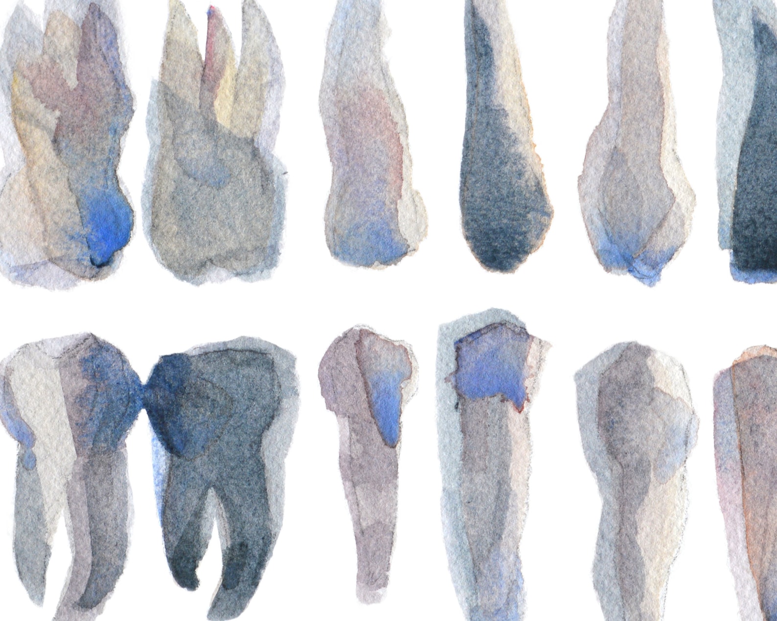 Abstract Teeth Watercolor Print Dental Art Medical - Etsy