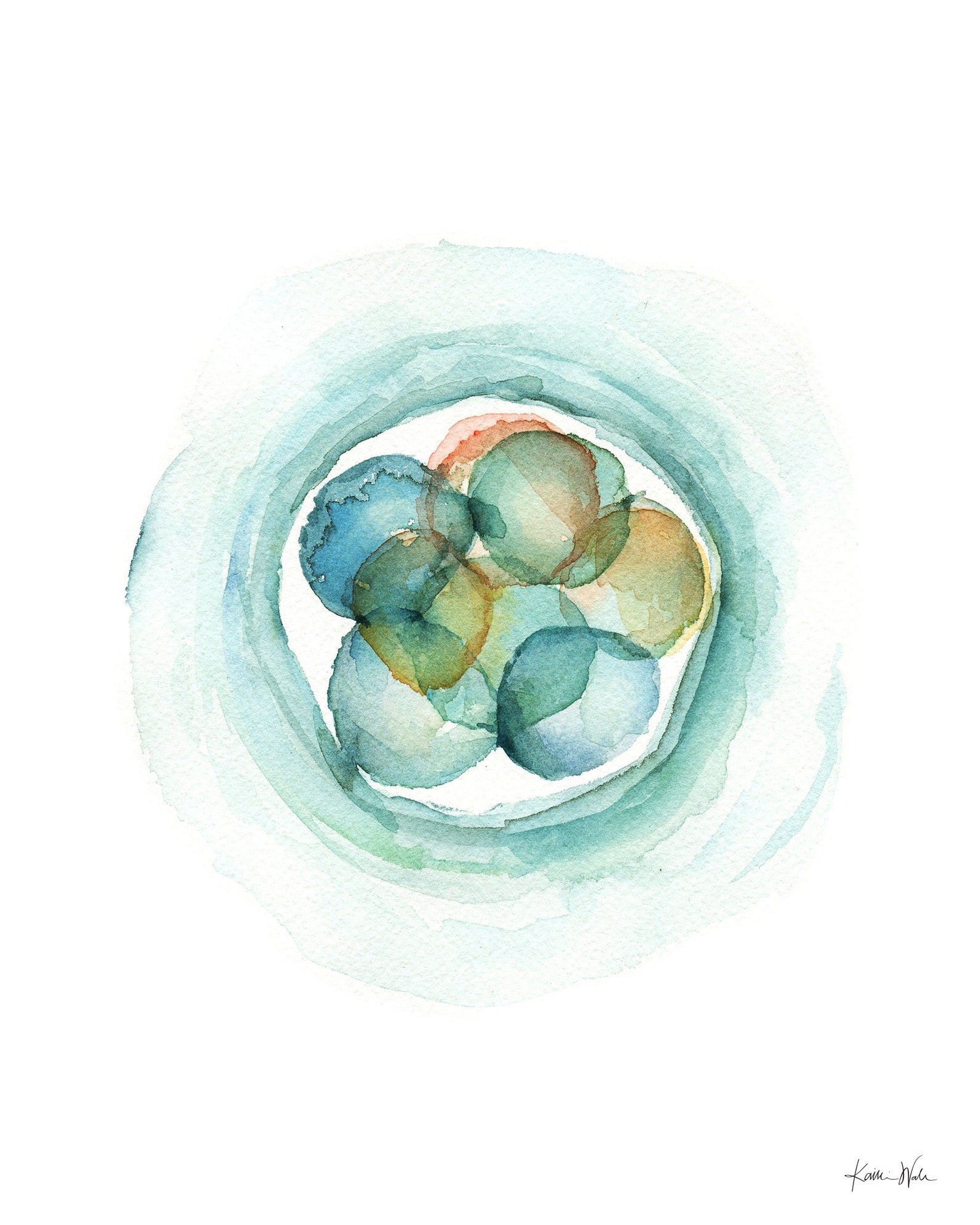 3-day Embryo Art Print - Embryology Watercolor Print - Fertility Doctor ...