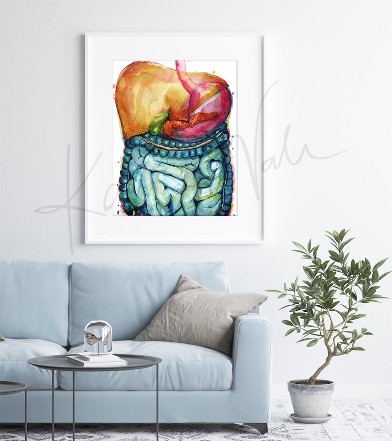 GI System Watercolor Print - Surgery Art - Gift for Surgeon ...