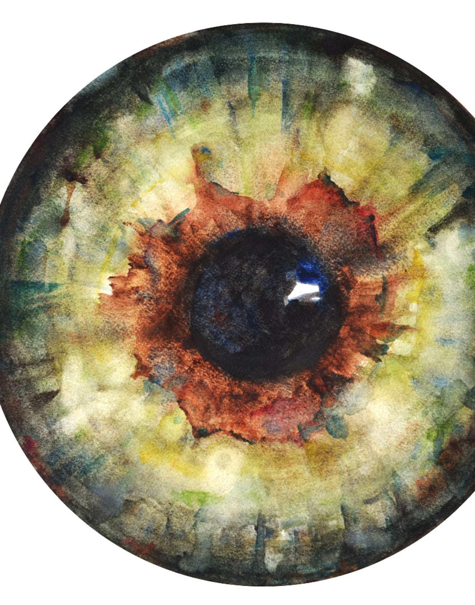 Set of 3 Iris Prints With Blue, Green and Hazel - Eye Art - Eye Anatomy ...