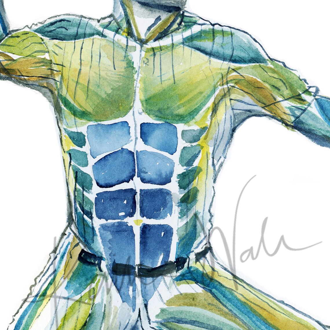 Baseball Anatomy Watercolor Print - Baseball Artwork - Pitcher Art ...