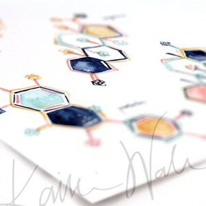 Reproductive Hormones Watercolor Poster - Hormone Art - Fertility Art ...