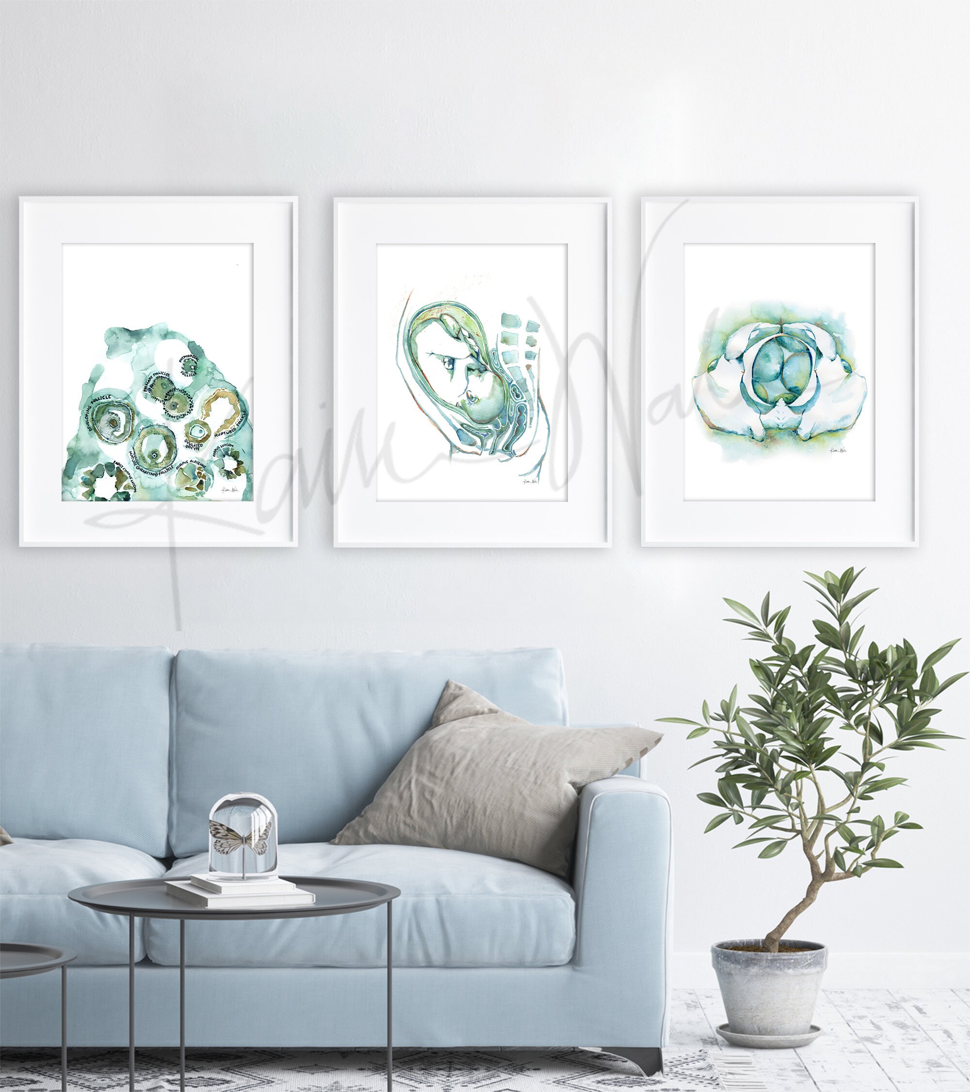 Blue Green Fertility Watercolor Print Set - OBGYN Art - Gift for OBGYN ...