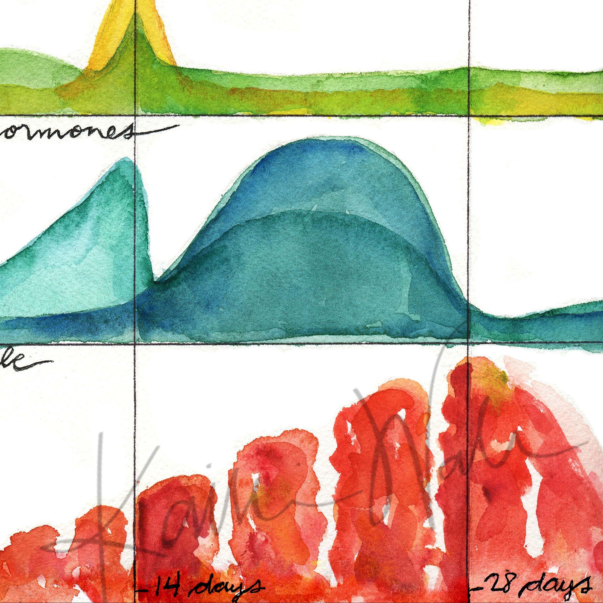 Menses Cycle Watercolor Art Print - Menstrual Chart - Menstrual Cycle ...