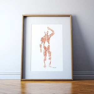 Muscular System Watercolor Print - Body System Watercolor Print ...