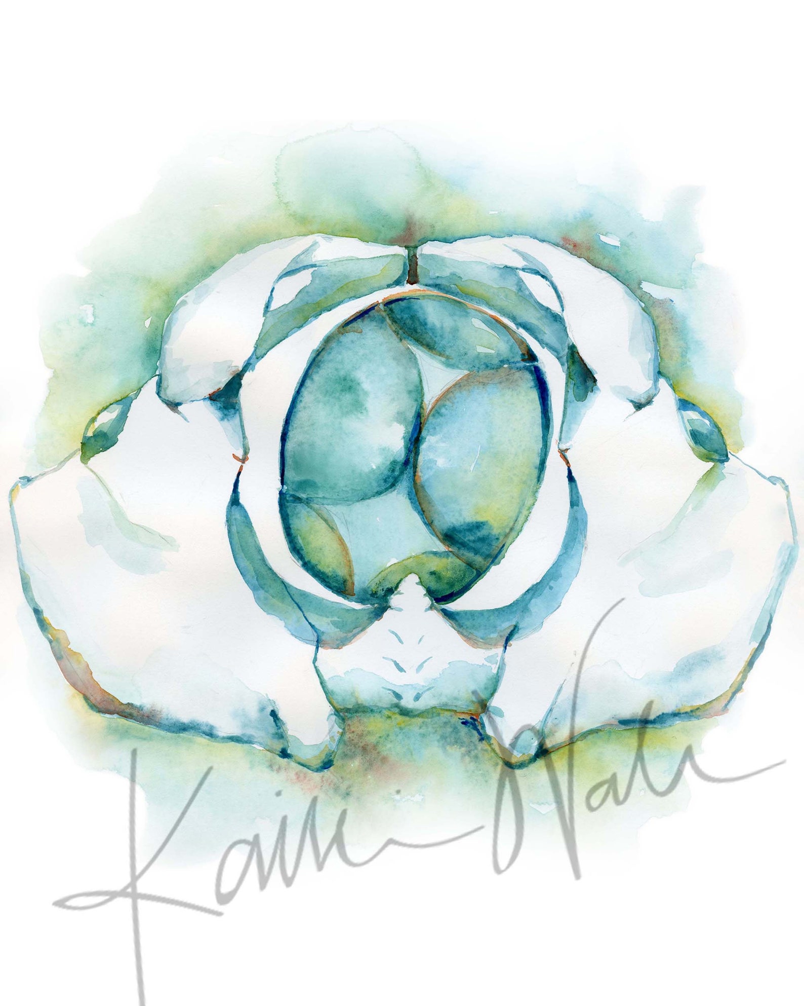 Blue Green Fertility Watercolor Print Set - OBGYN Art - Gift for OBGYN ...