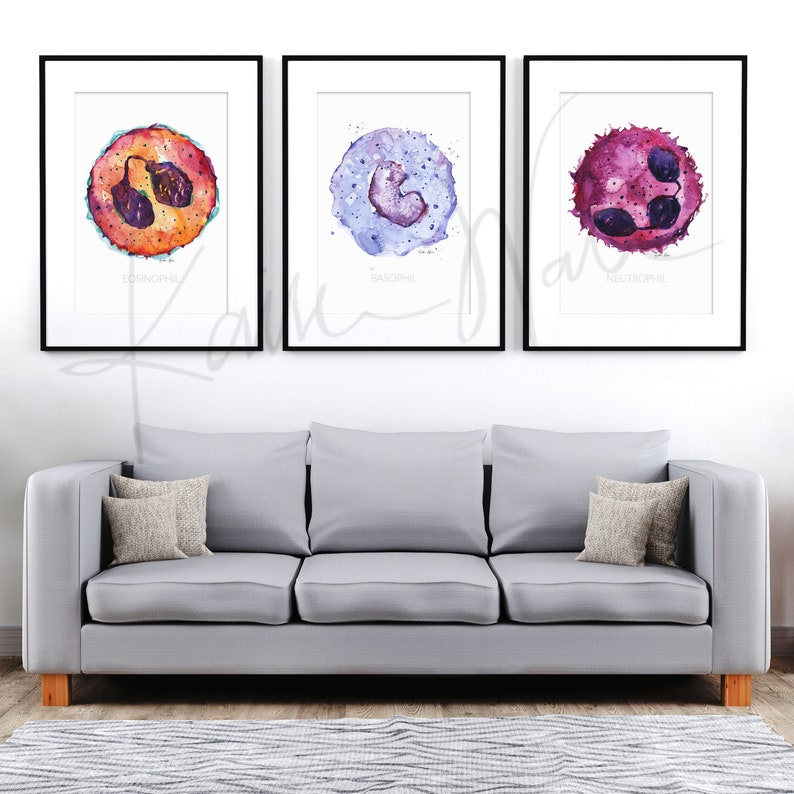 White Blood Cells Watercolor Print Set - Hematology Art - Blood Cells ...