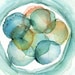 3-day Embryo Art Print - Embryology Watercolor Print - Fertility Doctor ...