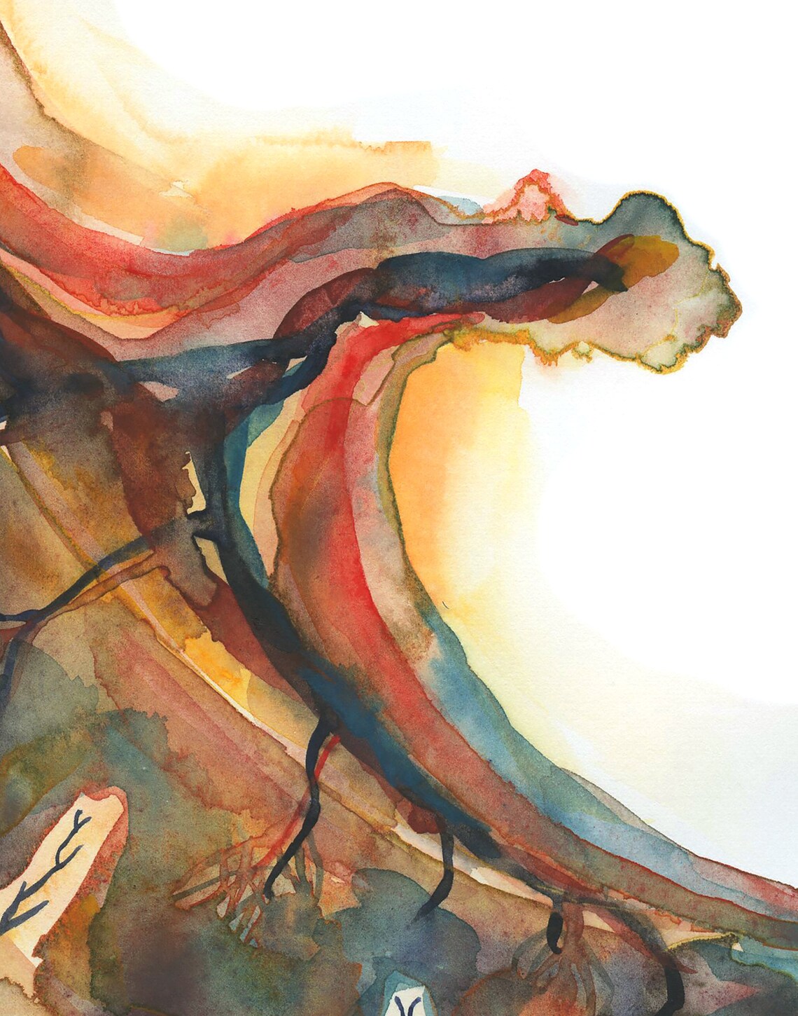 Placenta Watercolor Art Print - Pregnancy Anatomy Art Print - OBGYN ...