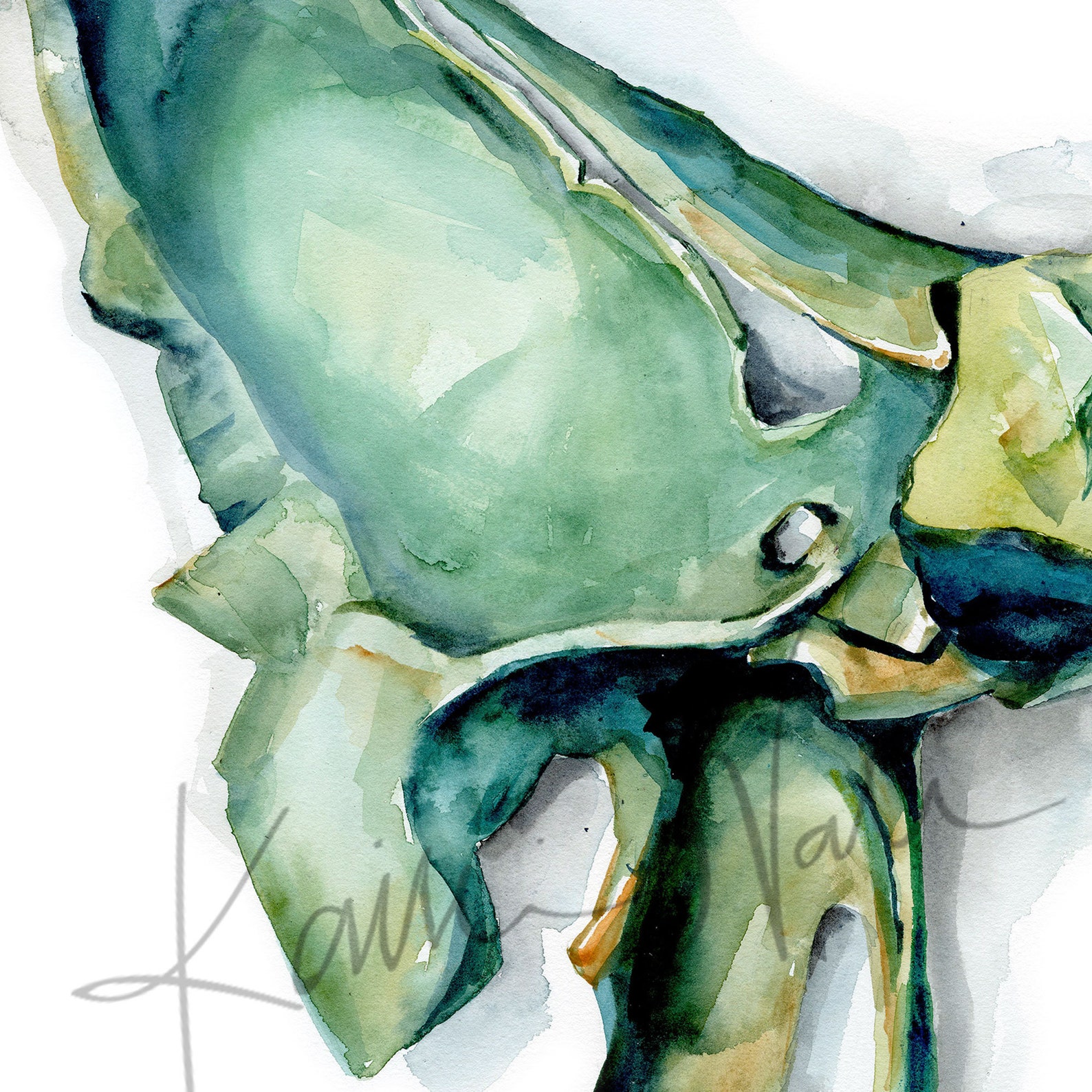 Sphenoid Watercolor Print - Bone Art - Neurology Art - Orthopedic Wall ...