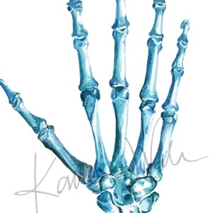 Bones of the Hand Anatomy Painting Print - Carpal Metacarpal and ...