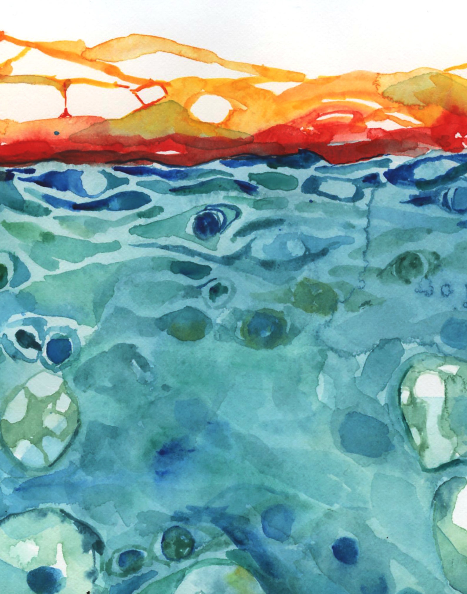 Squamous Watercolor Print Skin Cell Art Integumentary | Etsy