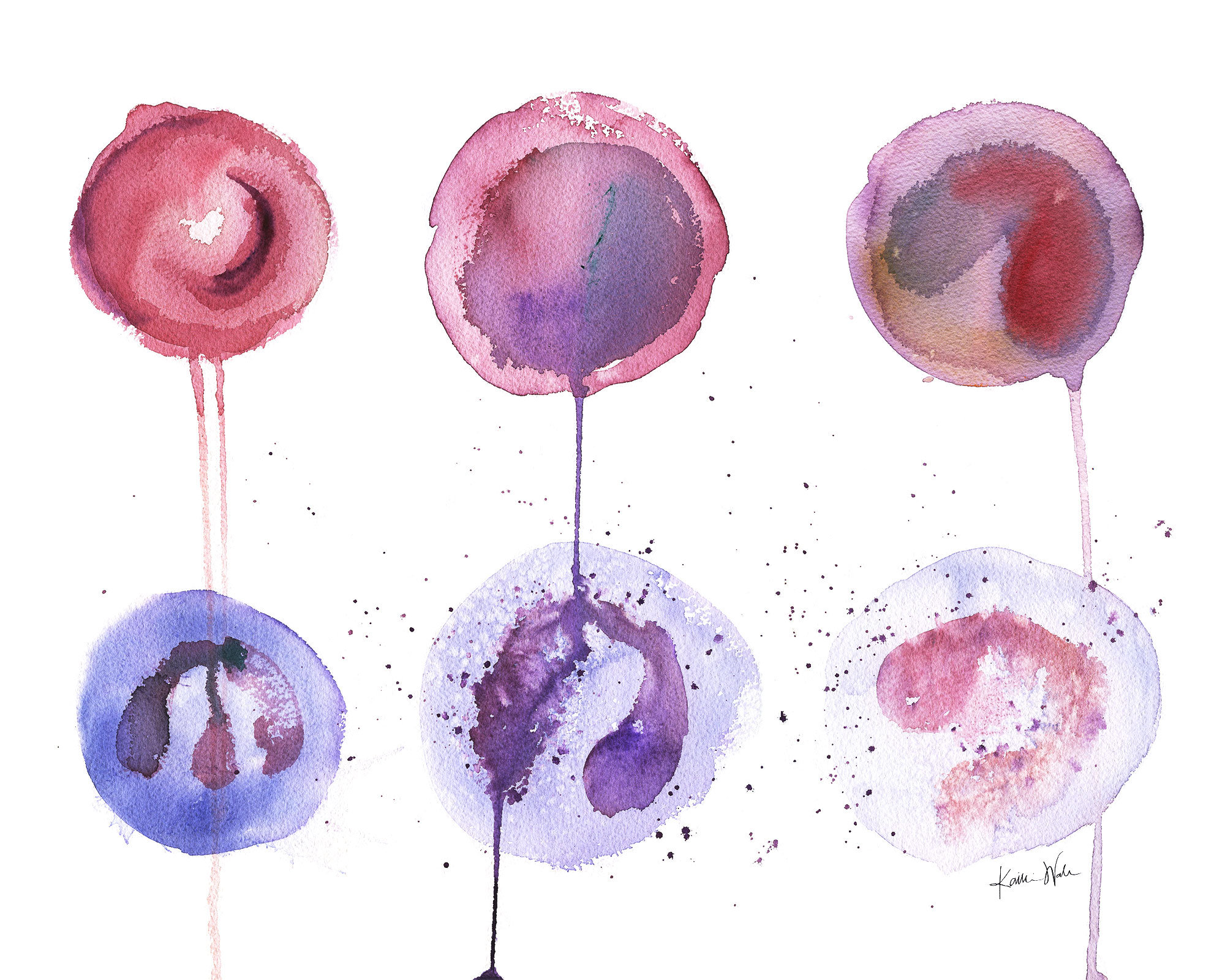 6 Blood Cells Watercolor Print Histology and Hematology Art - Etsy Canada